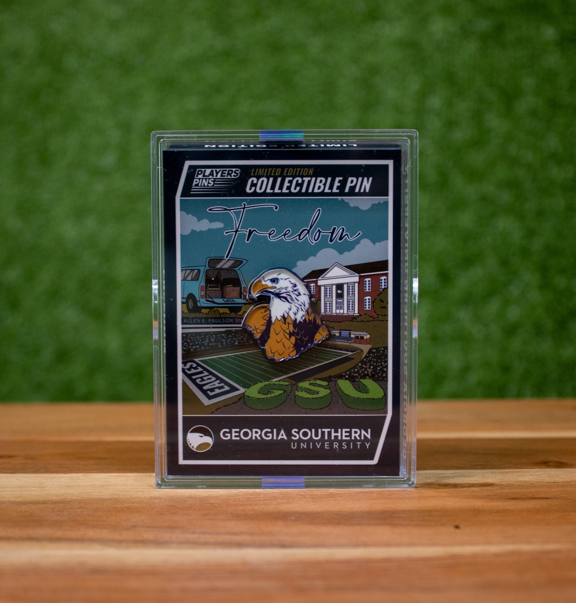 Freedom Commemorative Lapel Pin - The FREEDOM Program – Southern ...