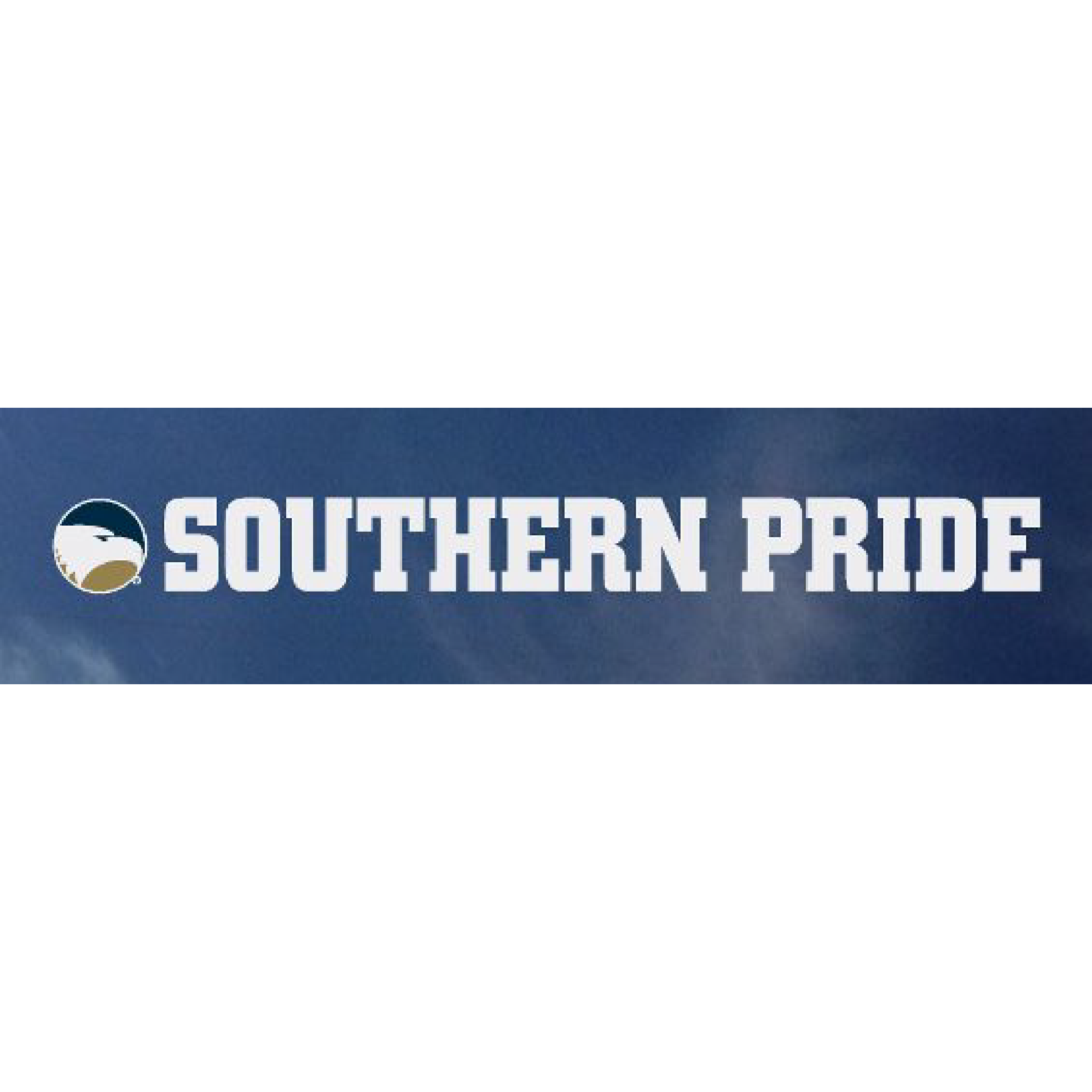 Southern Pride Decal Sticker - 15" – Southern Exchange Company